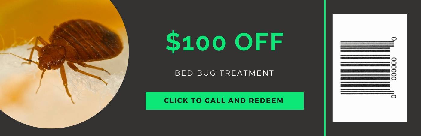 Coupons and Special Offers for Pest Control and Insulation Services