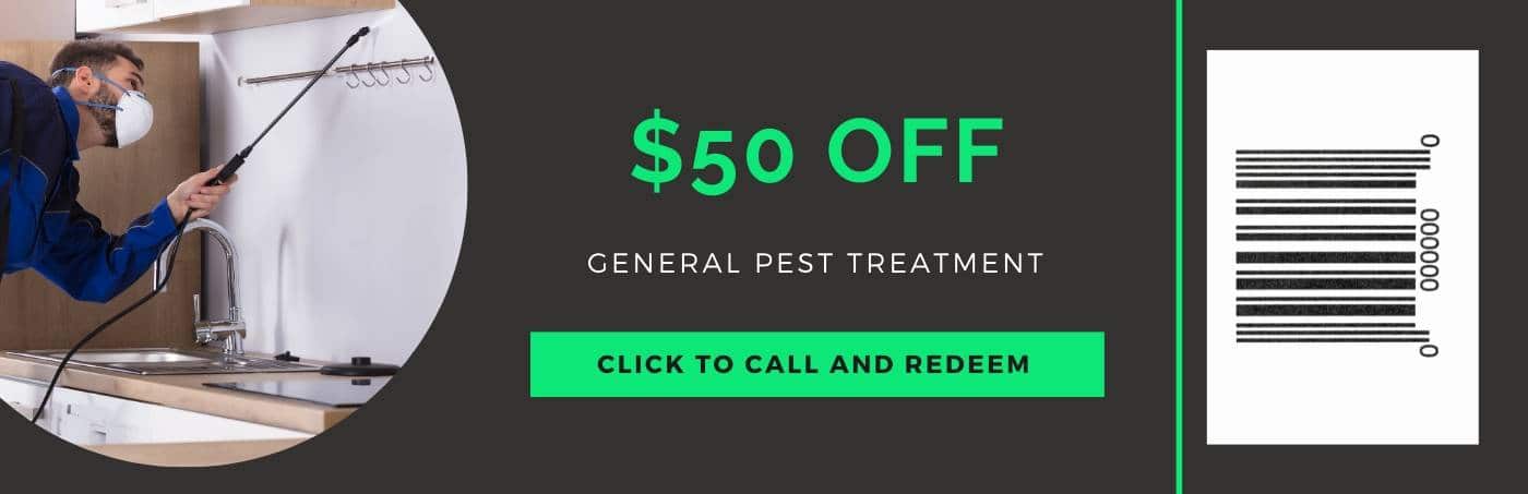 Coupons and Special Offers for Pest Control and Insulation Services