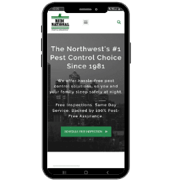 Termite Control Service in Seattle | Redi National Pest