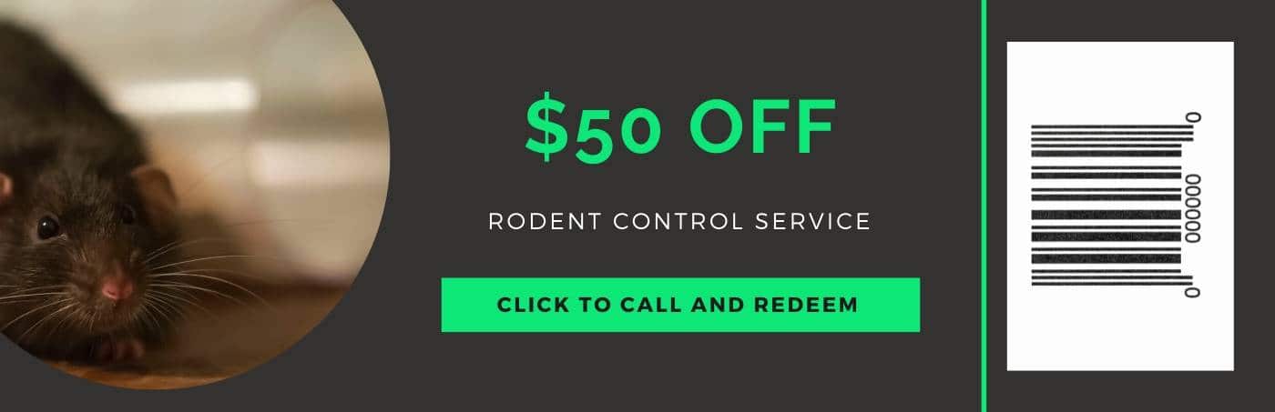 Coupons and Special Offers for Pest Control and Insulation Services